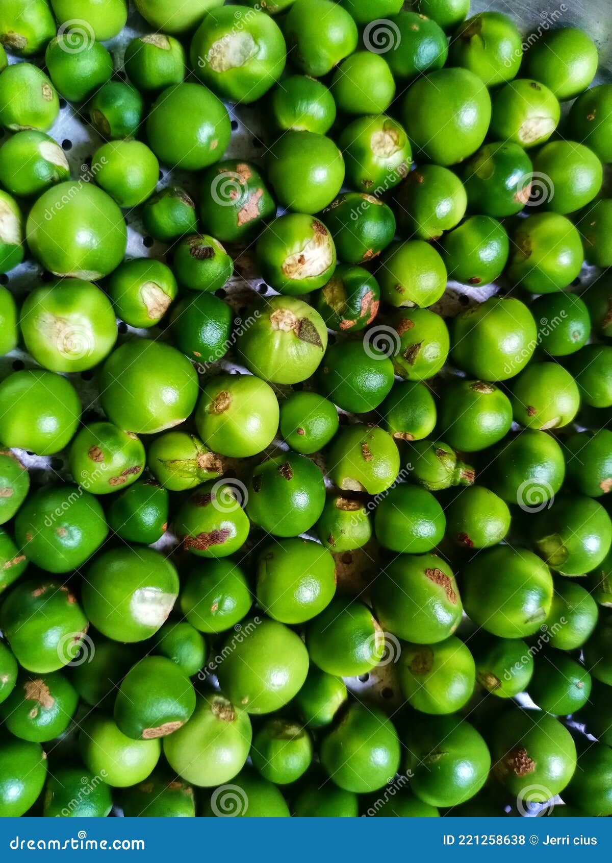 Takokak is a Type of Eggplant Fruit that is Usually Used As a Vegetable ...