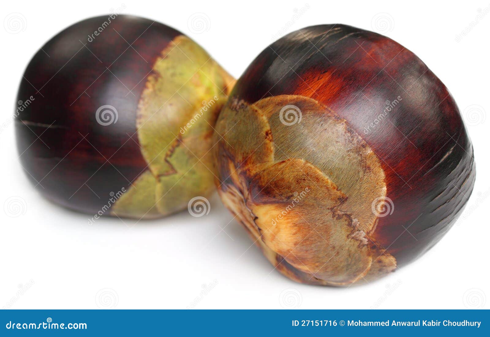 Tal Fruit of Indian Subcontinent Stock Photo - Image of agricultural ...