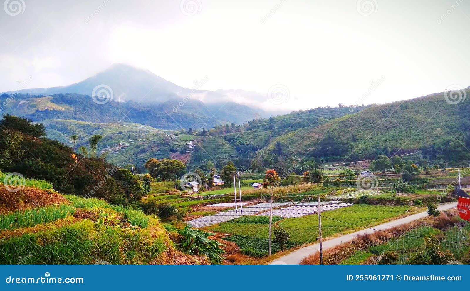 Solok Sumatera Barat Stock Photos - Free & Royalty-Free Stock Photos ...