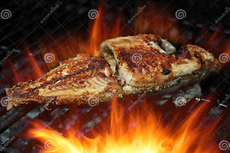 Talapia fish stock image. Image of smoke, healthy, cuisine - 10408111