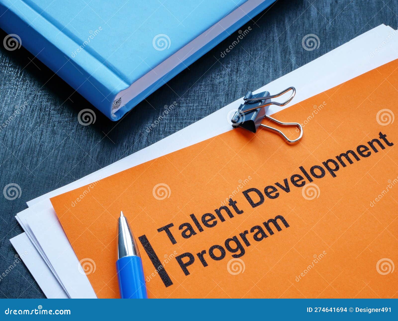 Talent Development Program, Notepad and Pen on the Desk. Stock Photo ...