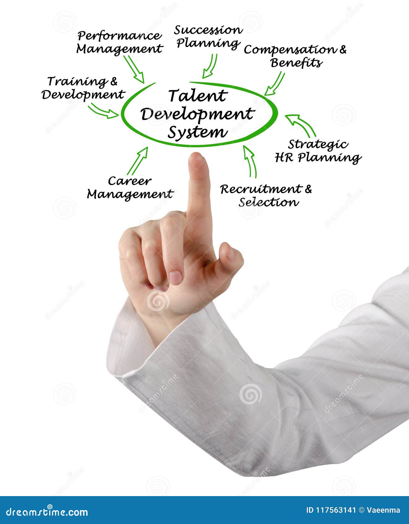 Talent Development System stock image. Image of virtual - 117563141