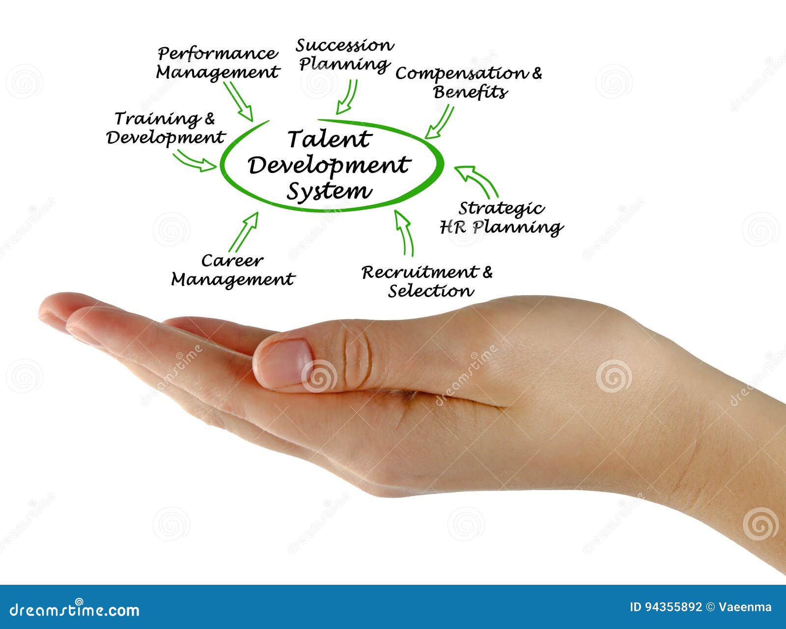 Talent Development System stock photo. Image of development - 94355892