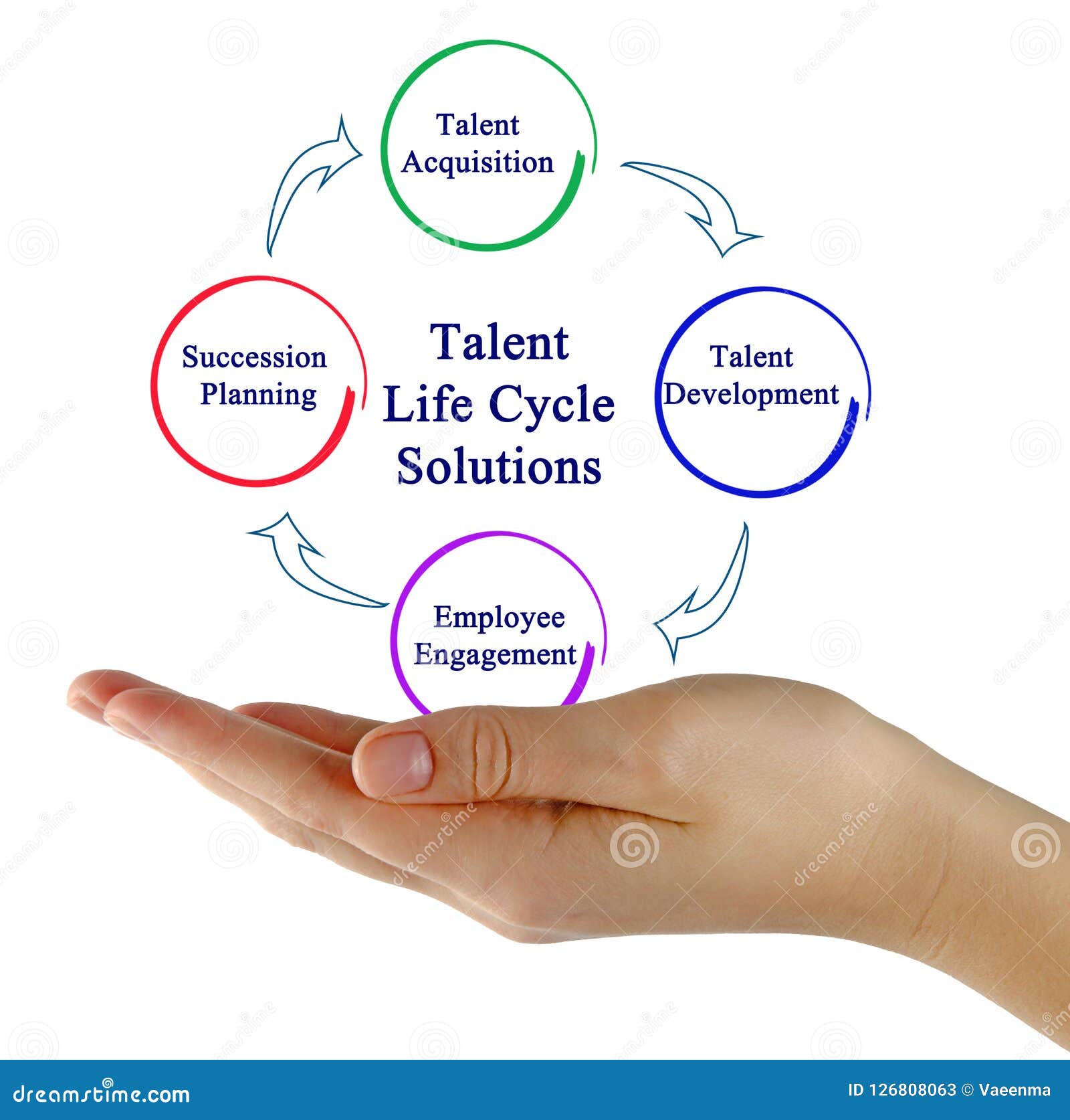 Talent Life Cycle Solutions Royalty-Free Stock Photo | CartoonDealer ...