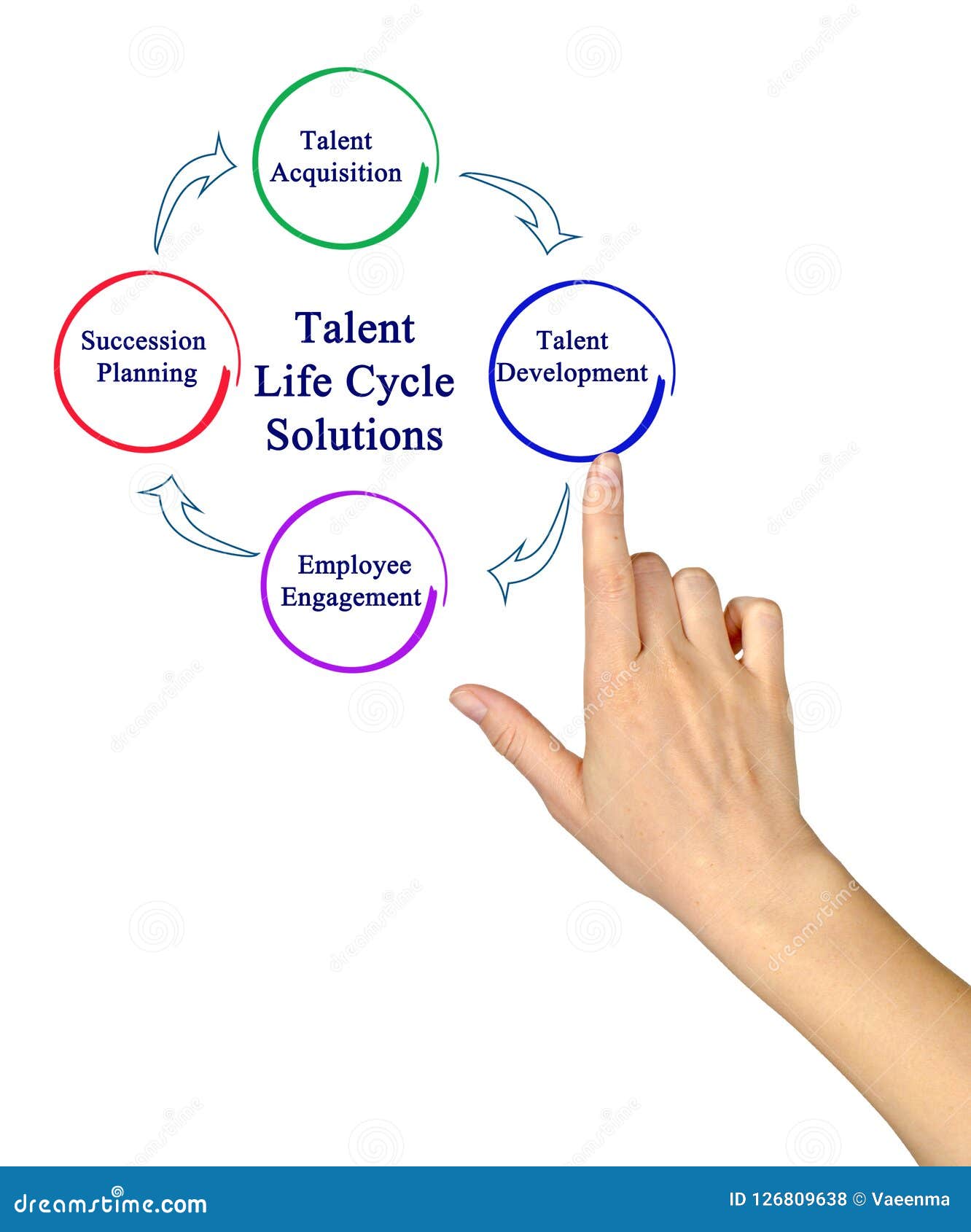 Talent Life Cycle Solutions Royalty-Free Stock Photo | CartoonDealer ...