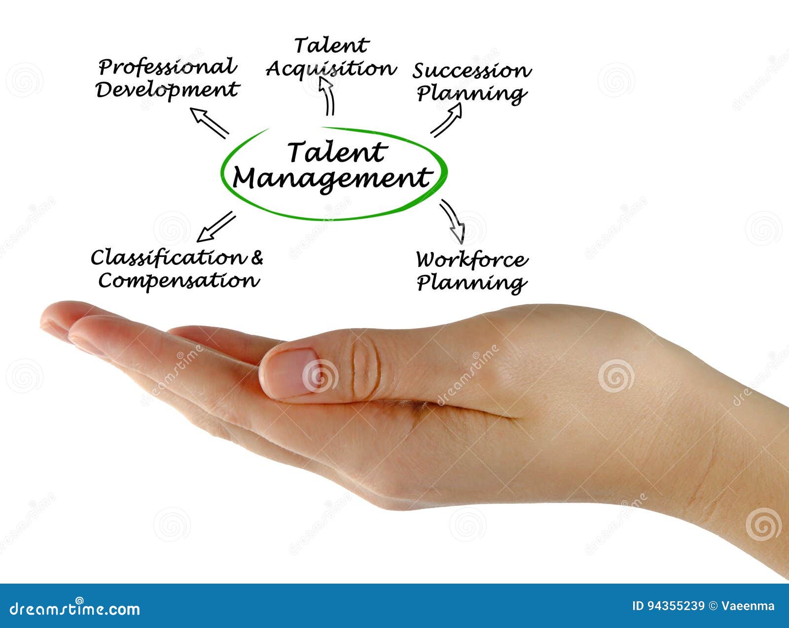 Talent Management stock image. Image of compensation - 94355239