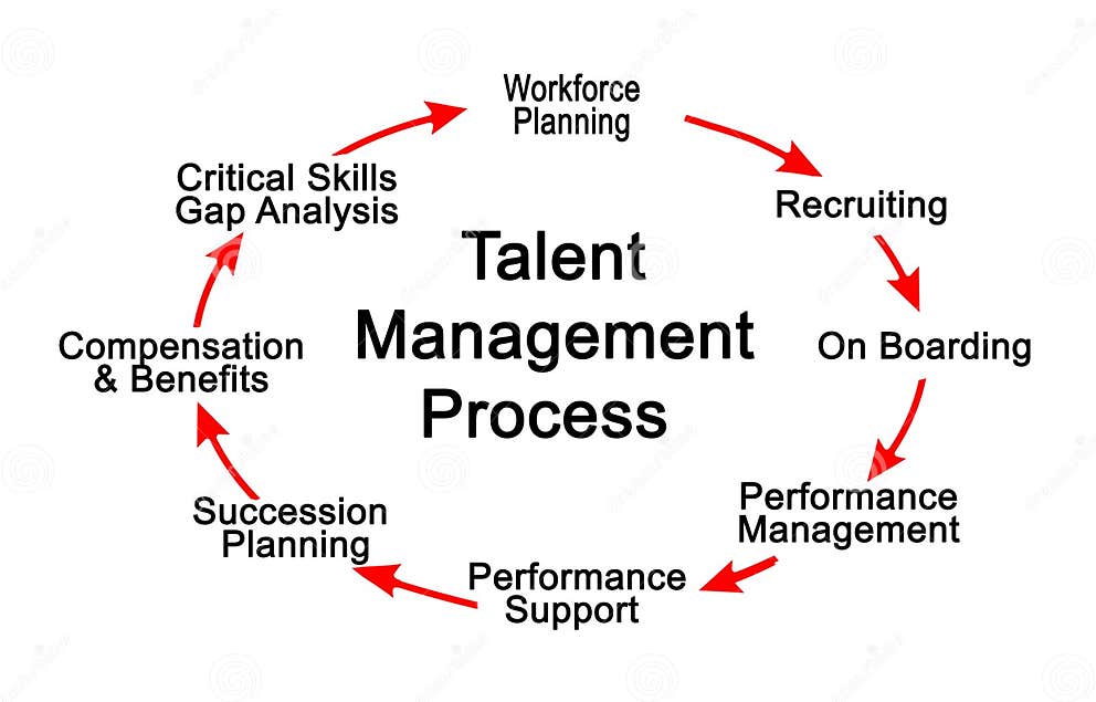 Talent Management Process stock image. Image of skills - 143477807