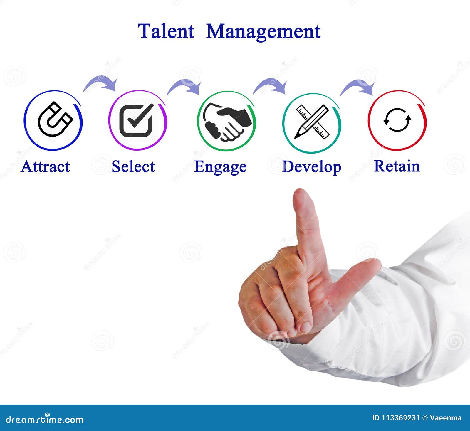 Talent Management Process stock image. Image of diagram - 113369231
