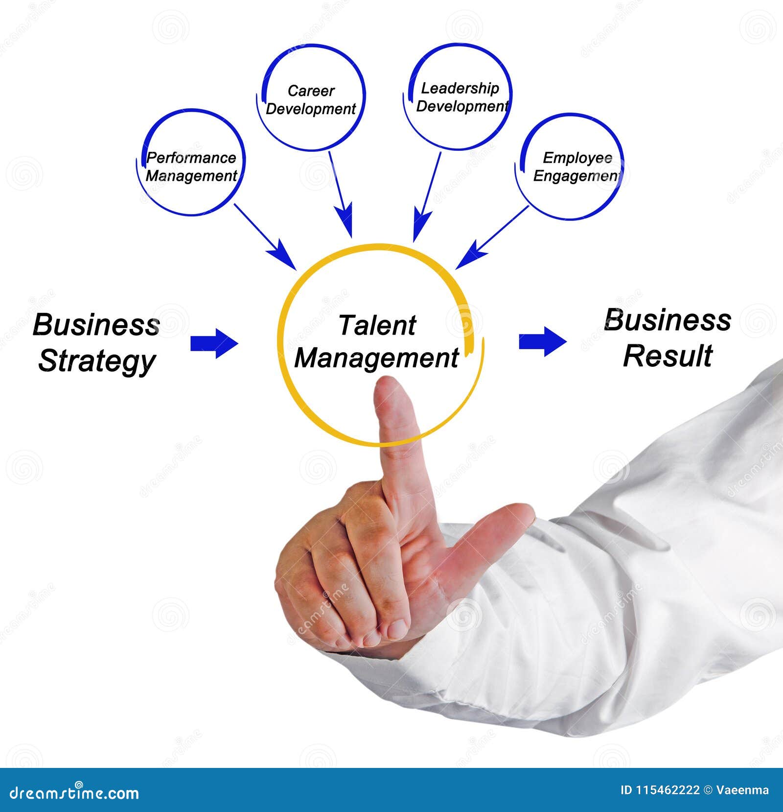 Talent Management Process stock photo. Image of leadership - 115462222