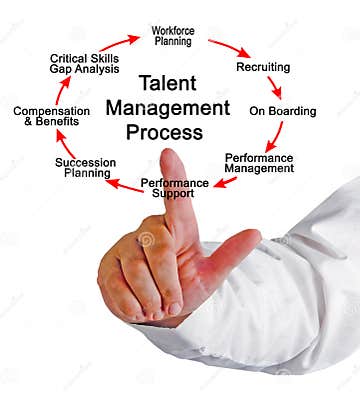 Talent Management Process stock illustration. Illustration of skills ...