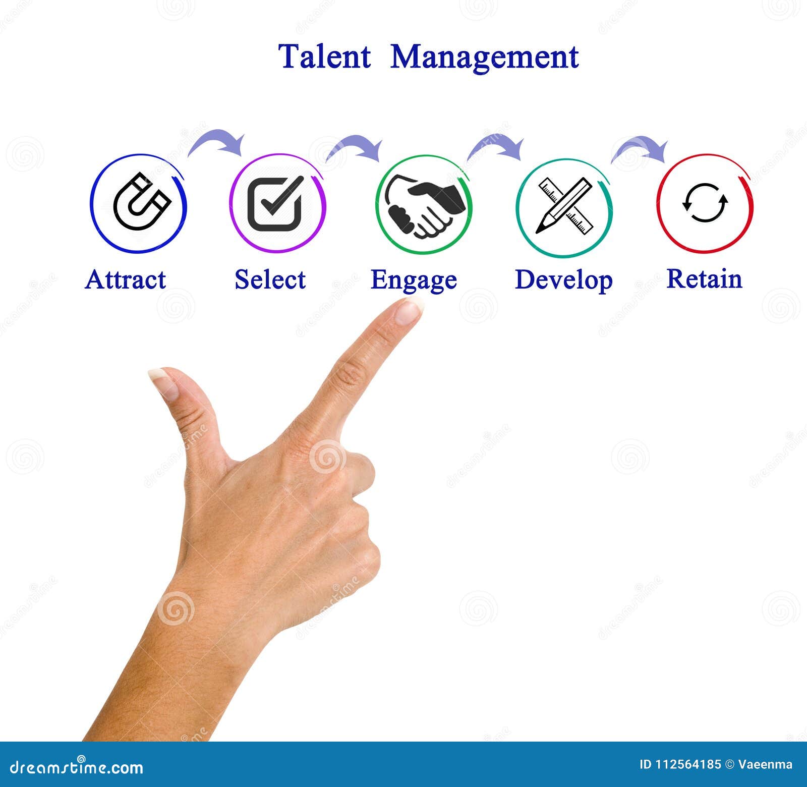 Talent Management Process stock image. Image of person - 112564185