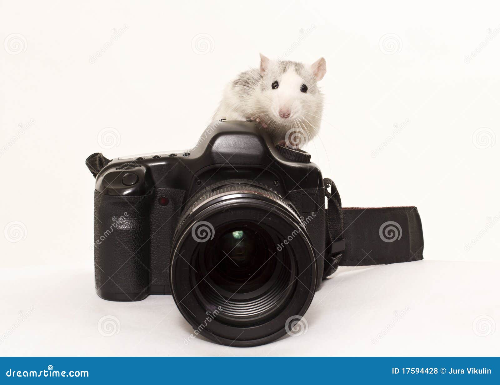 Talented photographer stock photo. Image of white, creative - 17594428