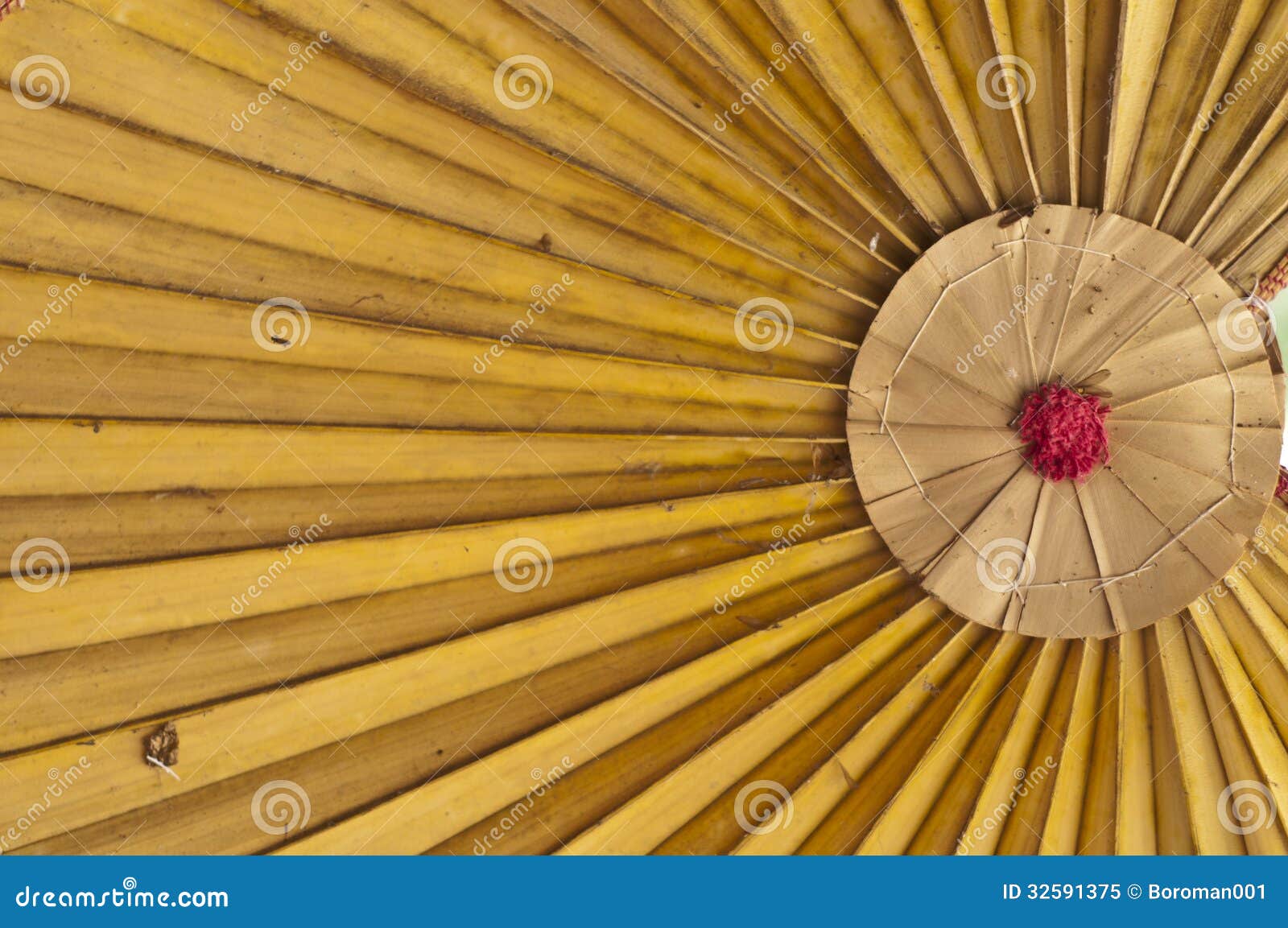 Talipot fan stock image. Image of ground, faith, yellow - 32591375