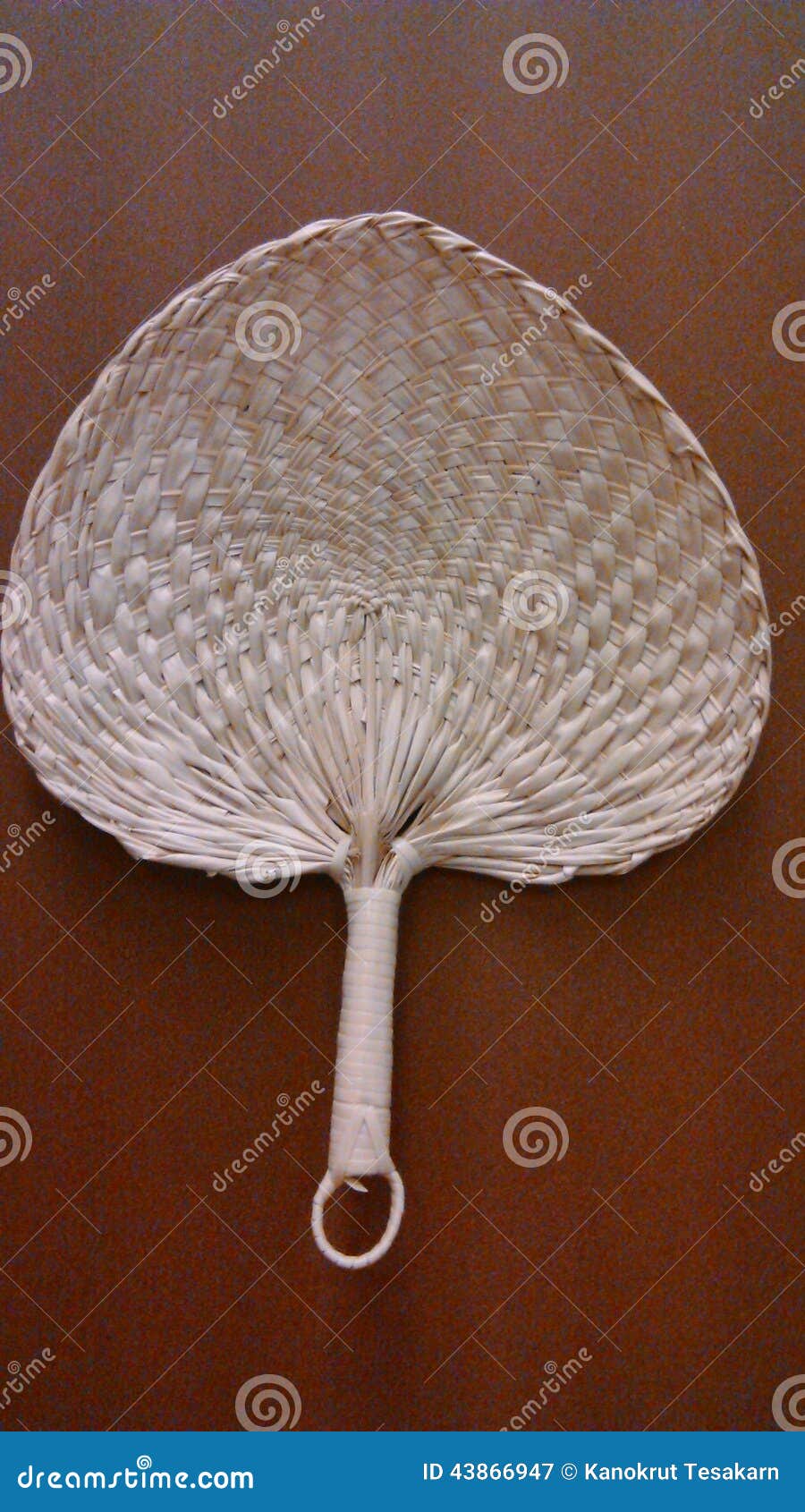 Talipot palm leaves fan stock image. Image of natural - 43866947