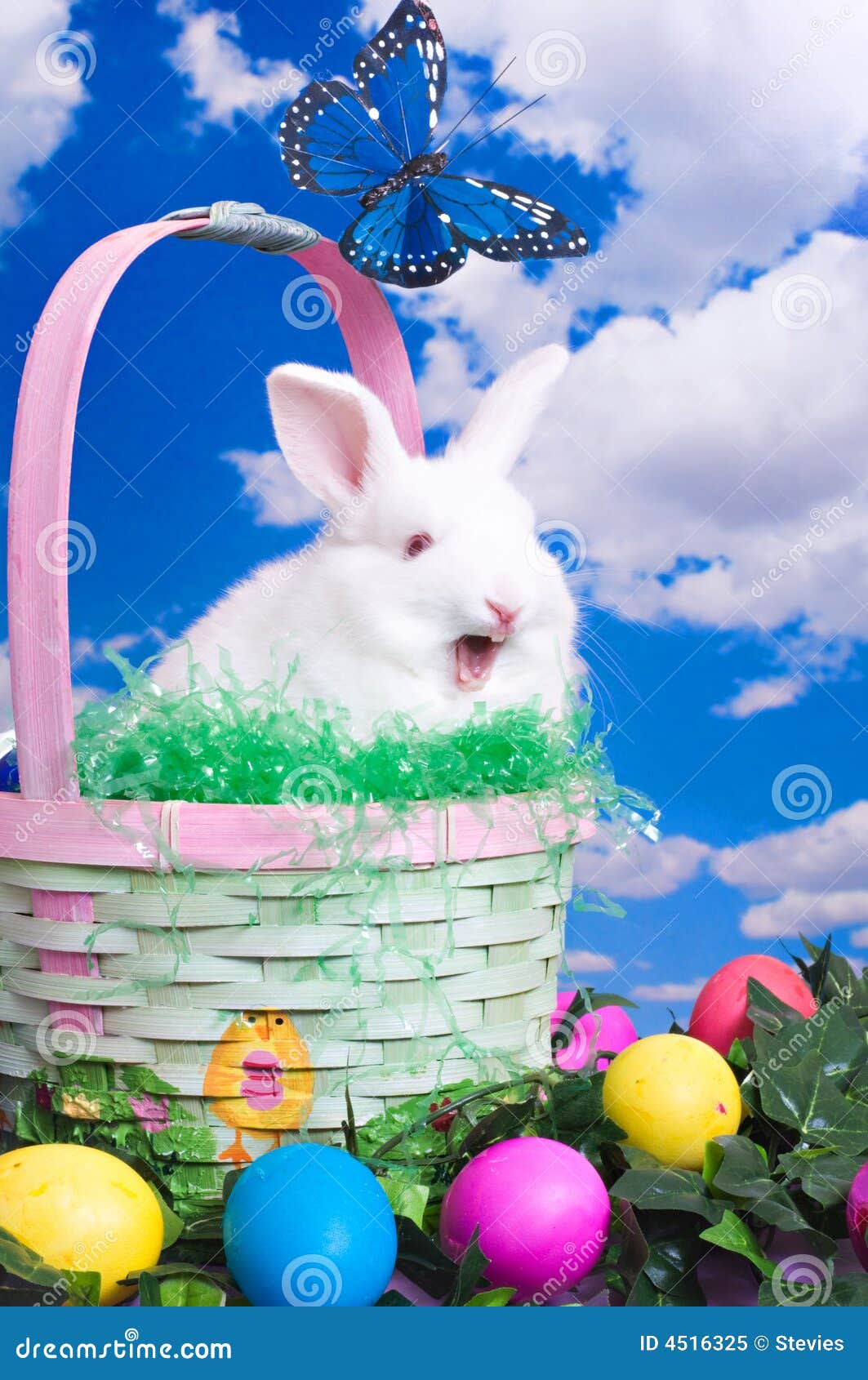 Talking Easter Bunny stock image. Image of sleepy, grass - 4516325