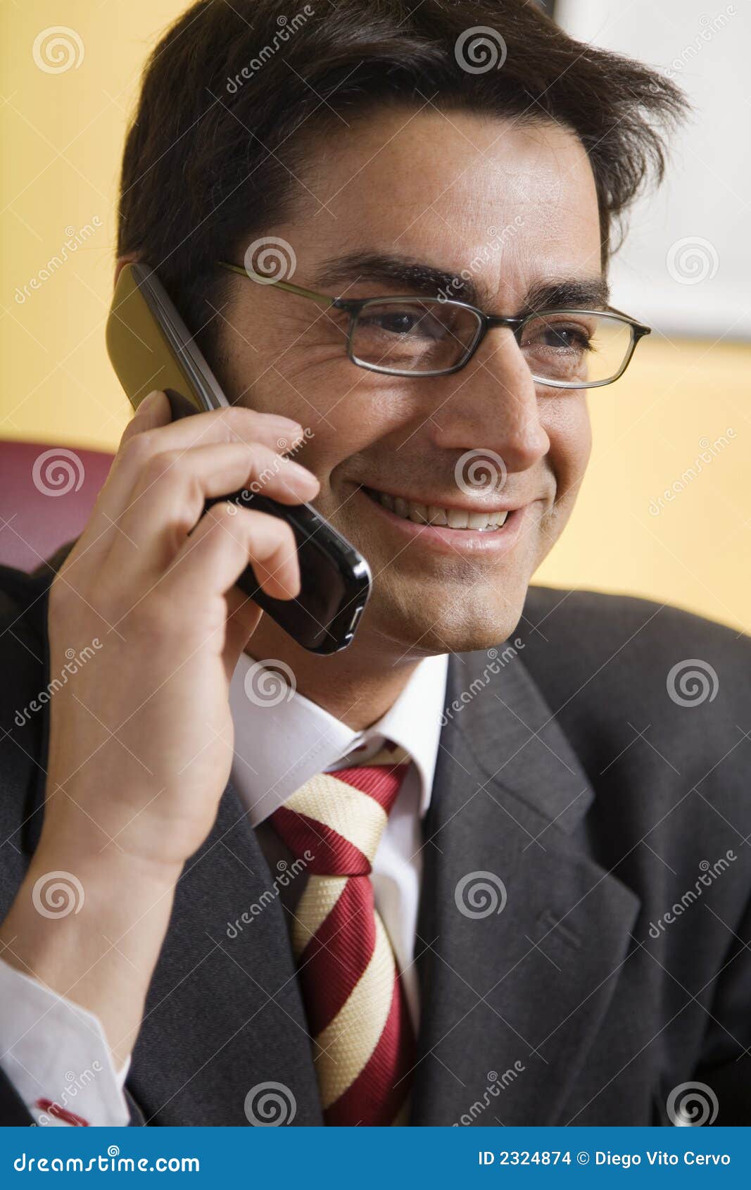 Talking on the phone stock photo. Image of busy, professional - 2324874