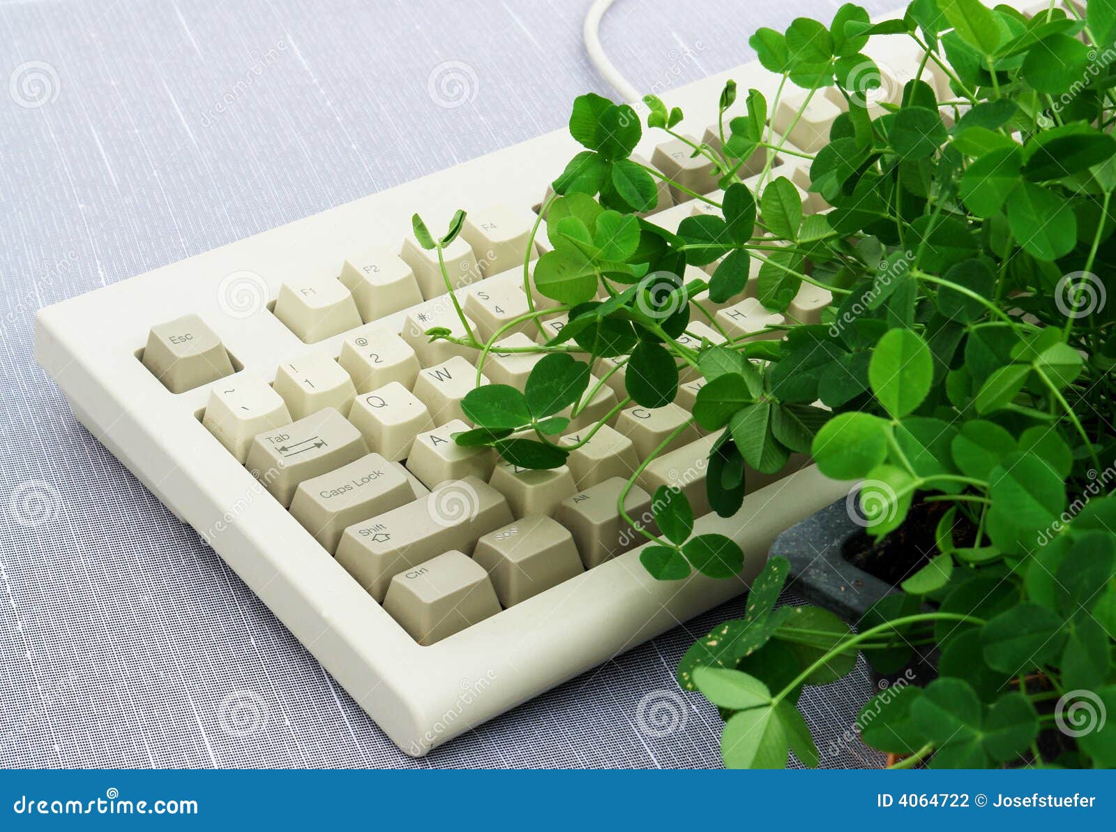 Talking Plants Log On (2) Picture. Image: 4064722