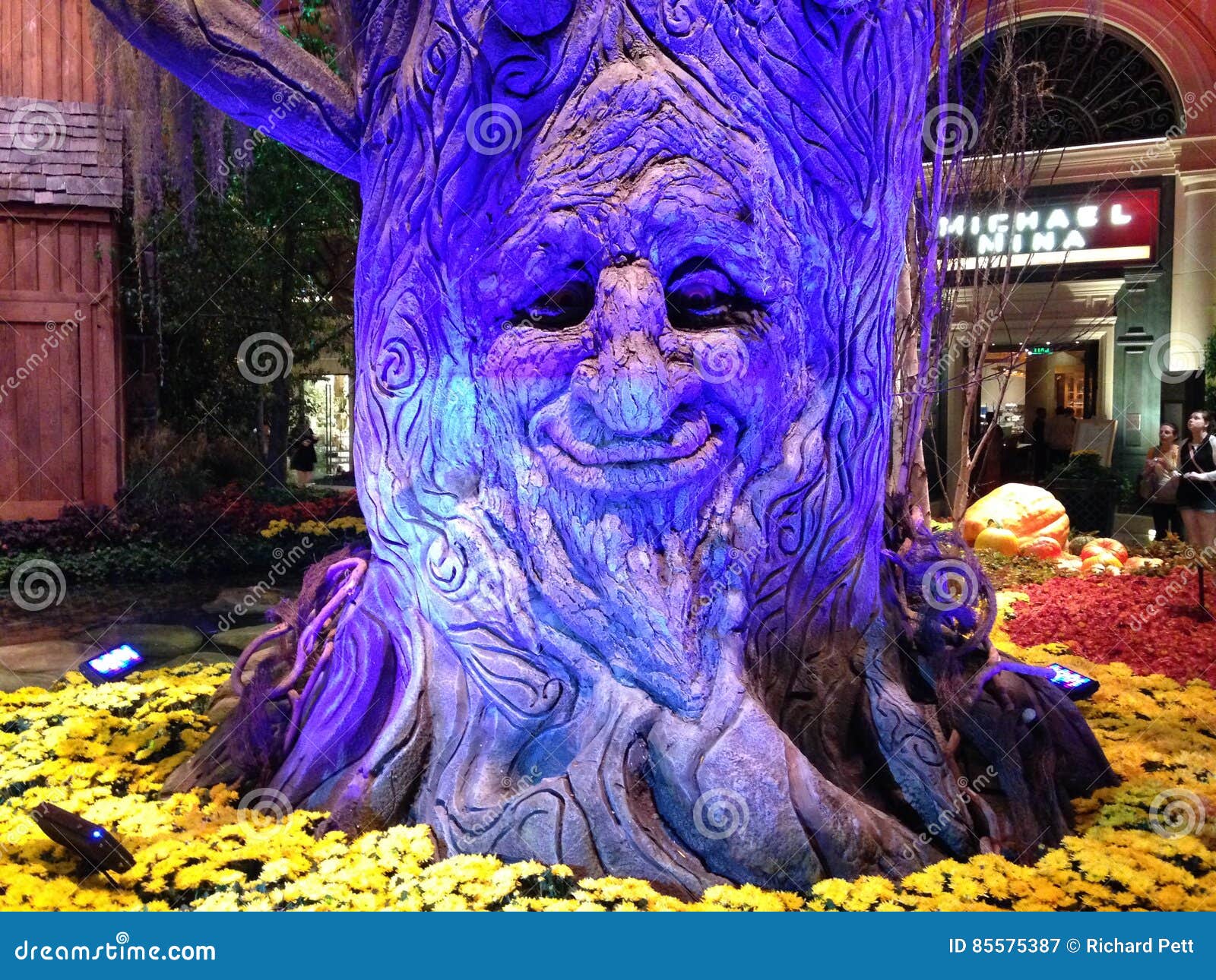 Talking Tree At Theme Park `de Efteling` Editorial Photo ...