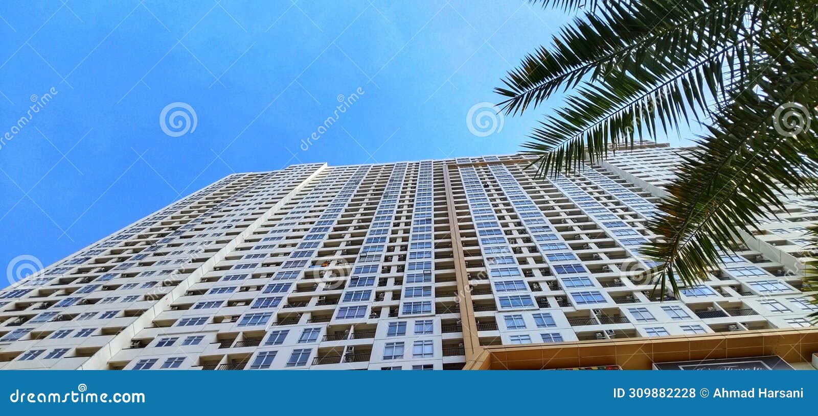 A Tall Apartment is Decorated with a Very Beautiful Backdrop of Fresh ...