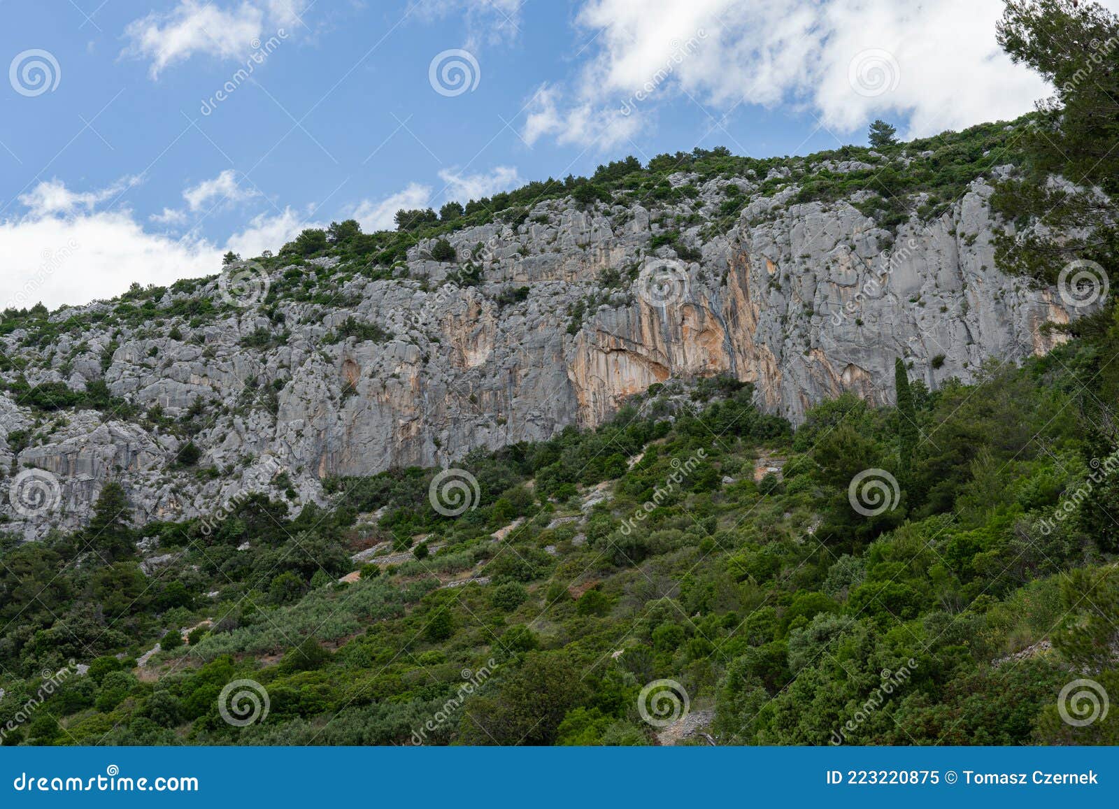 Tall Beautiful Climbing Rocks in a Dense Forest Stock Image - Image of ...