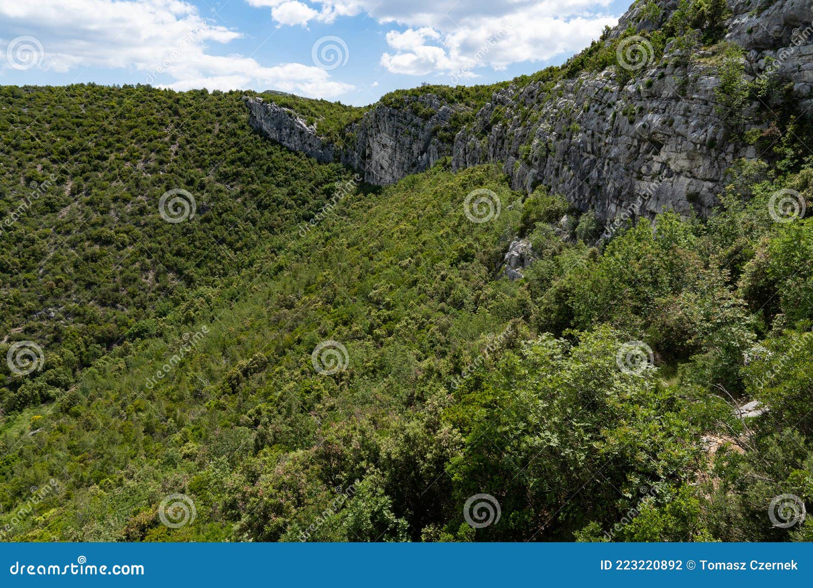 Tall Beautiful Climbing Rocks in a Dense Forest Stock Photo - Image of ...