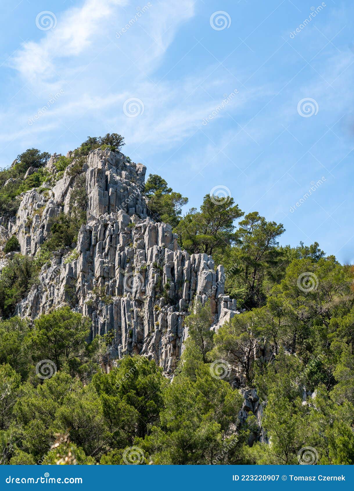 Tall Beautiful Climbing Rocks in a Dense Forest Stock Image - Image of ...