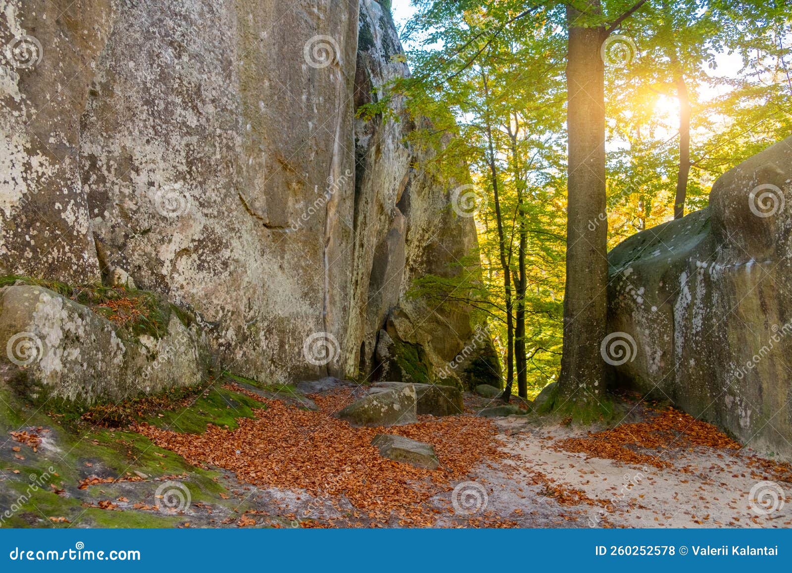 Tall Big Rock in Autumn Forest in Ukraine Stock Photo - Image of nature ...