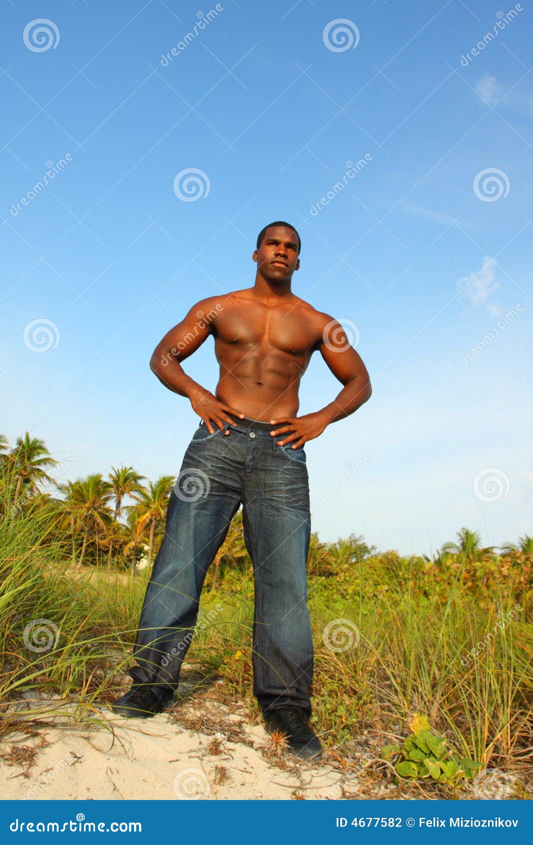 Tall Bodybuilder stock photo. Image of muscular, healthy - 4677582