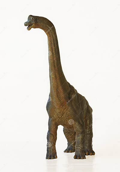 A Tall Brachiosaurus Dinosaur, or Arm Lizard Stock Image - Image of ...