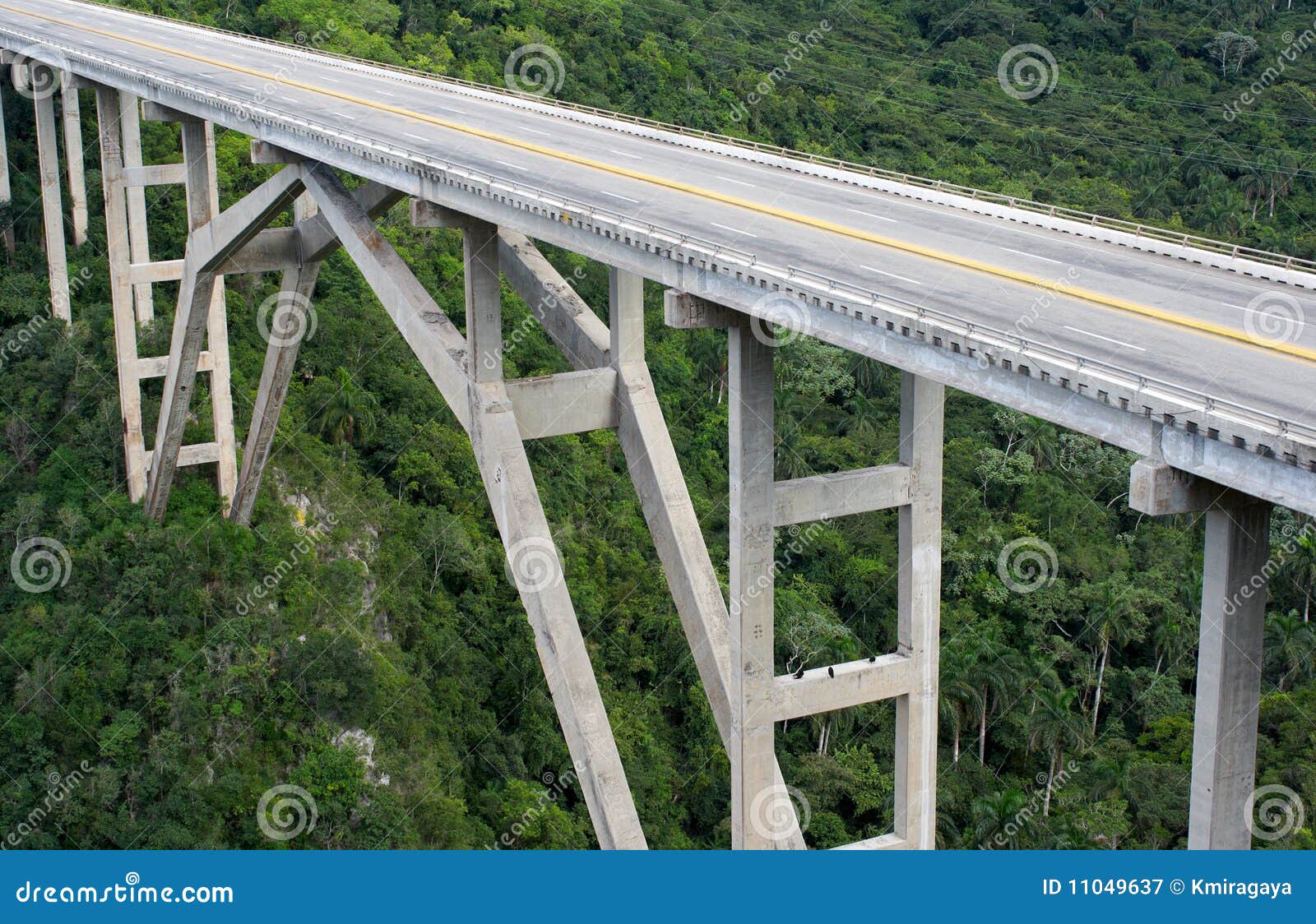 Tall Bridge Crossing a Green Valley Stock Image - Image of frame ...