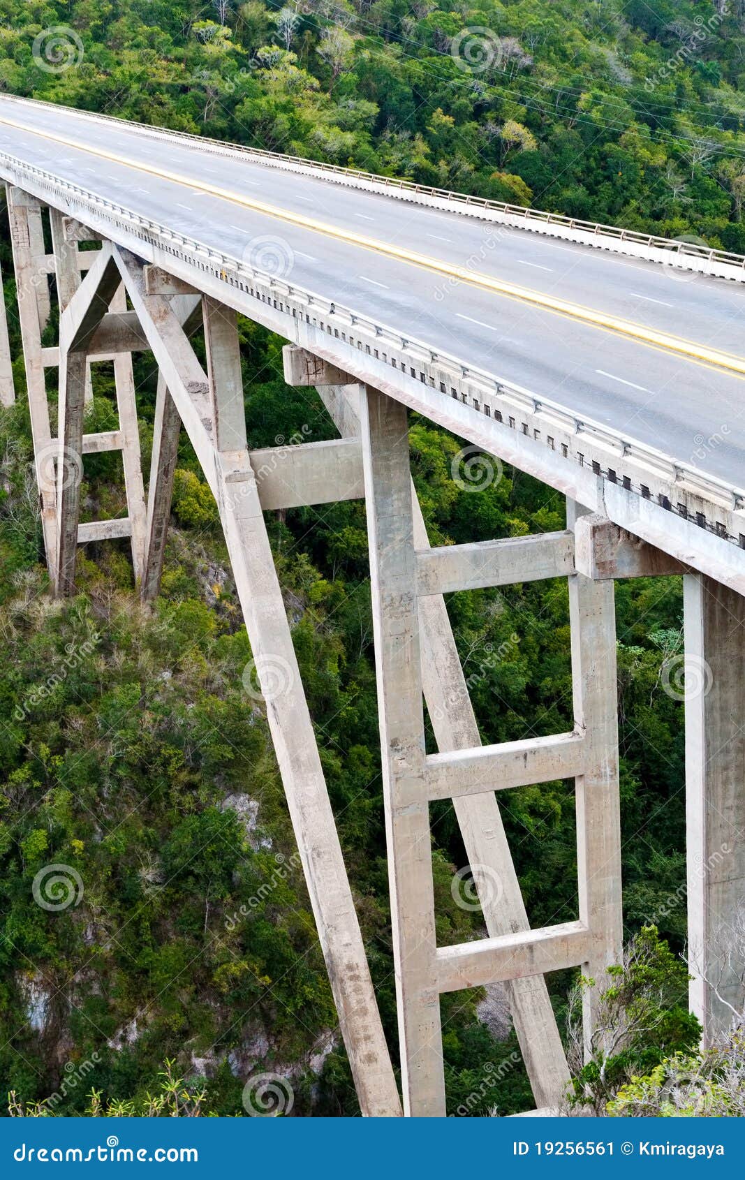 Tall Bridge Crossing a Tropical Valley Stock Image - Image of highway ...
