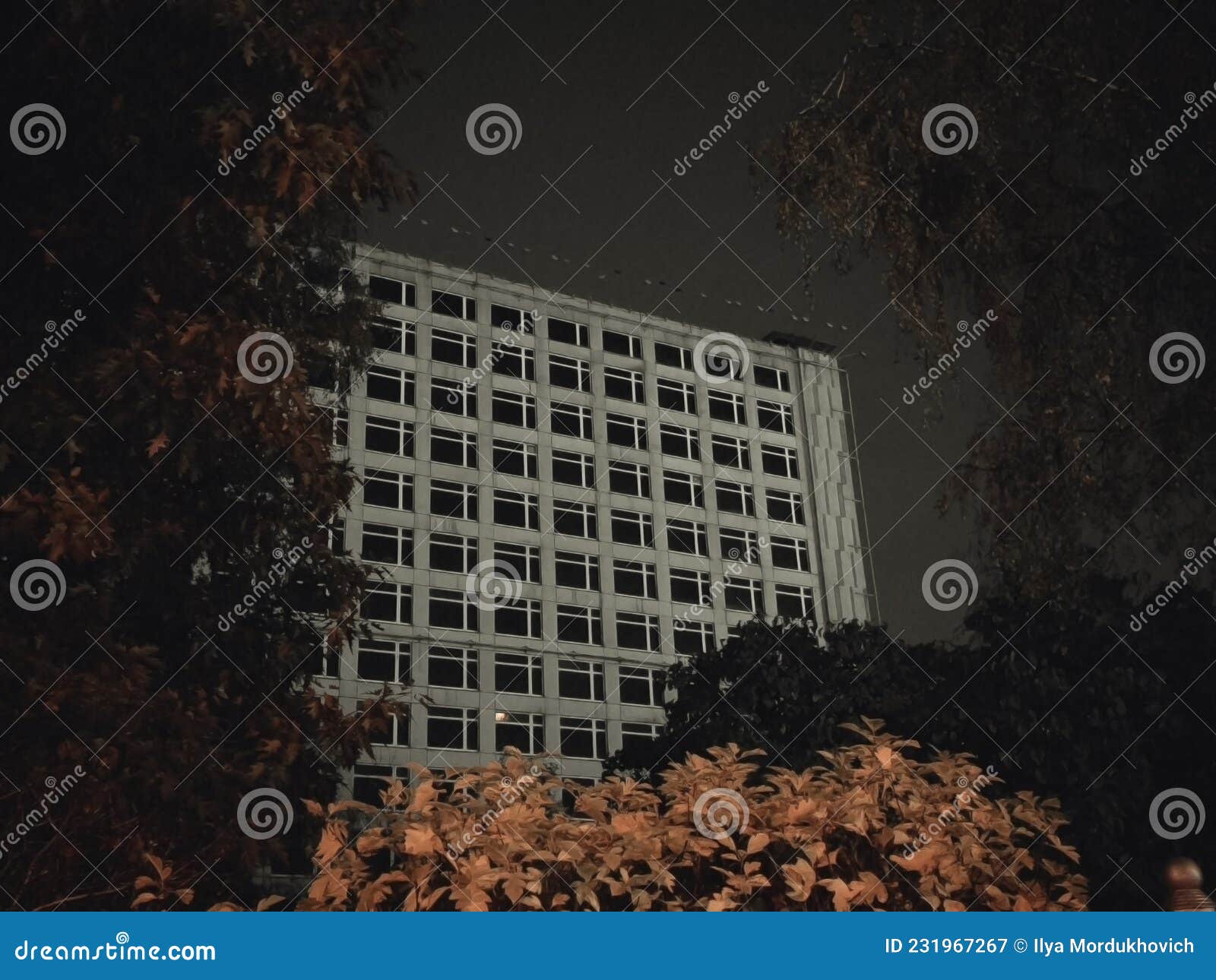 Night, Autumn, There is No Light in the Building, Complete Darkness ...