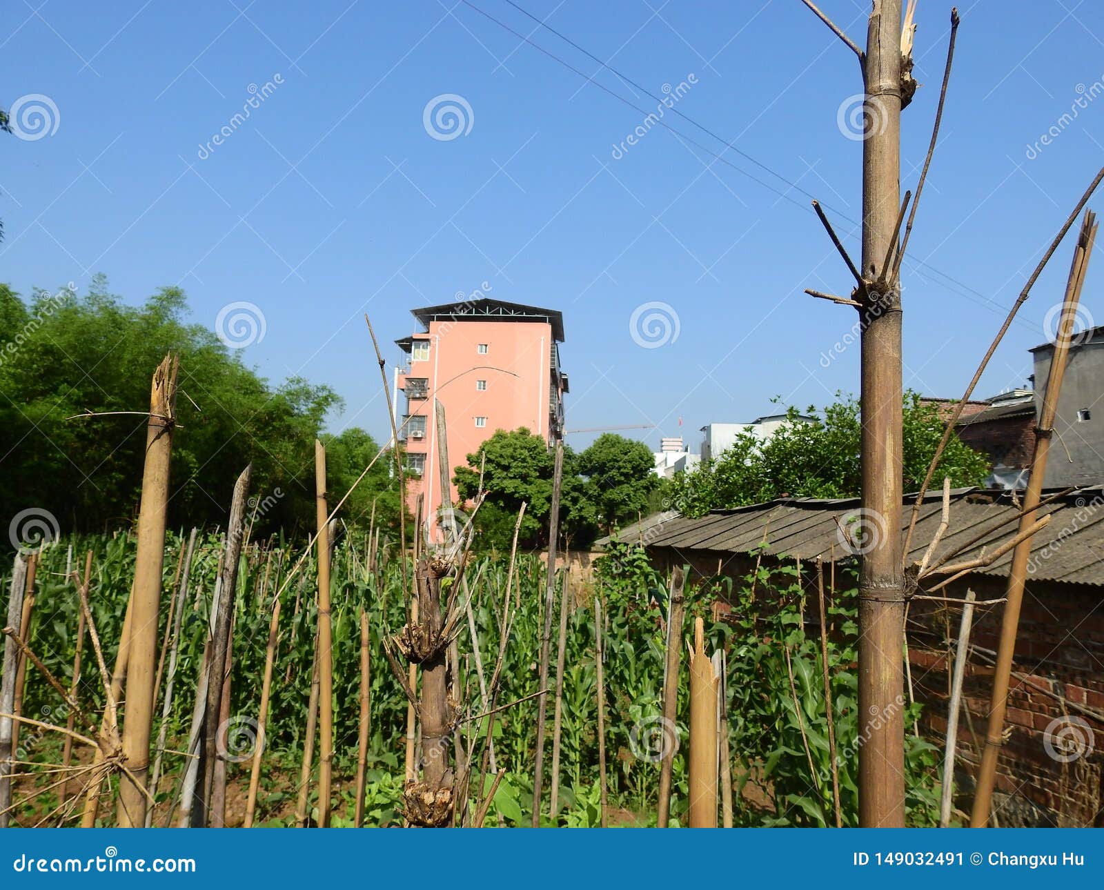 Tall Buildings in Chinese Rural Areas Stock Image - Image of china ...