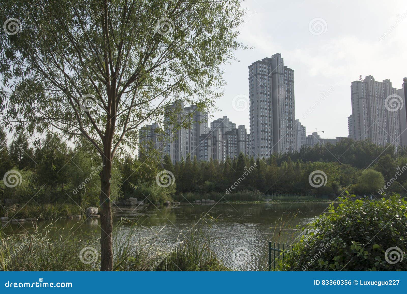 Tall Buildings Under the Setting Sun Stock Photo - Image of ...