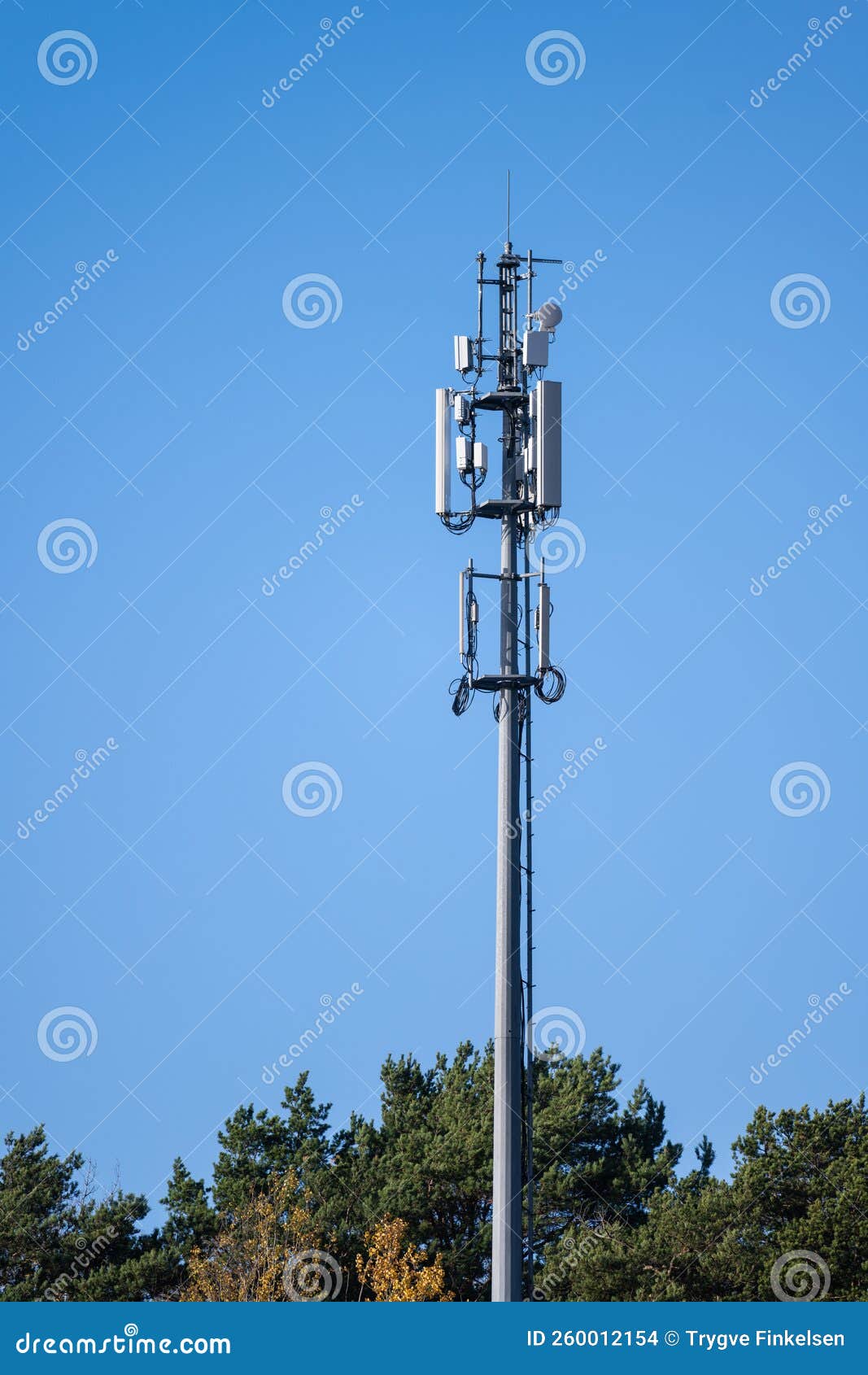 Tall Communications Tower in a Forest.. Stock Photo - Image of view ...