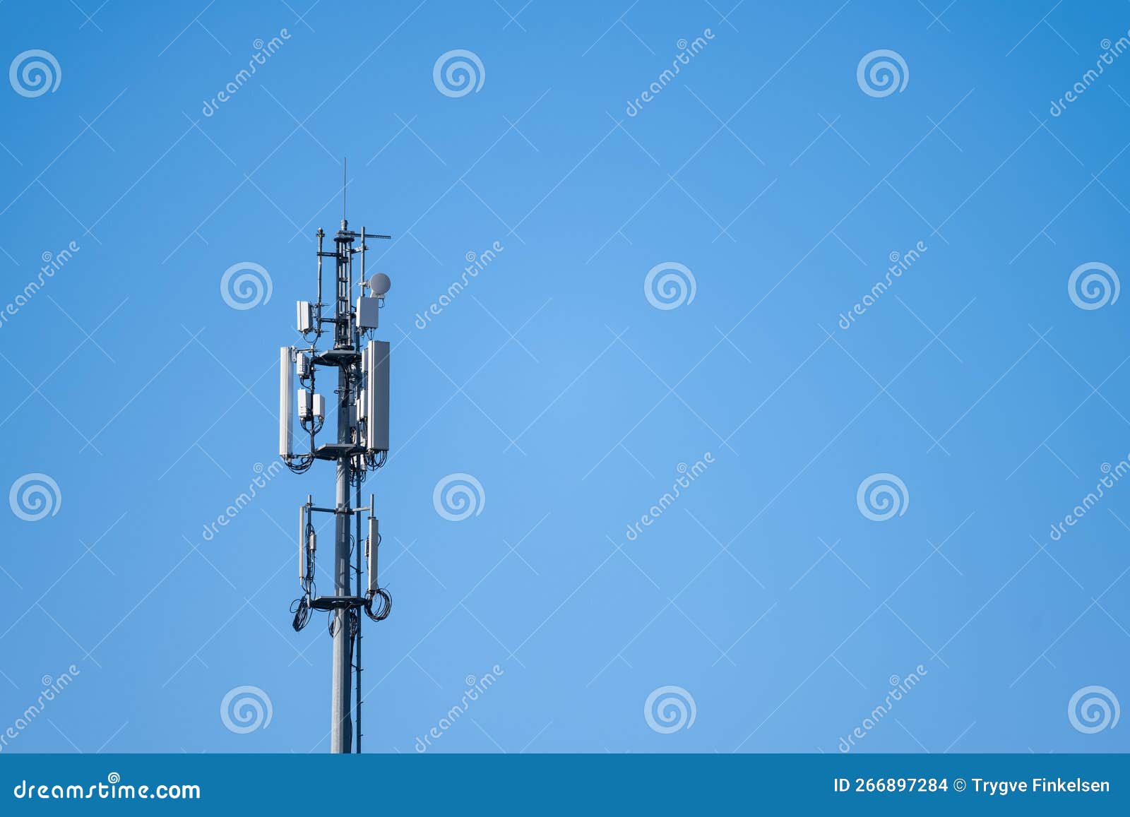 Tall Communications Tower in a Forest.. Stock Photo - Image of ...