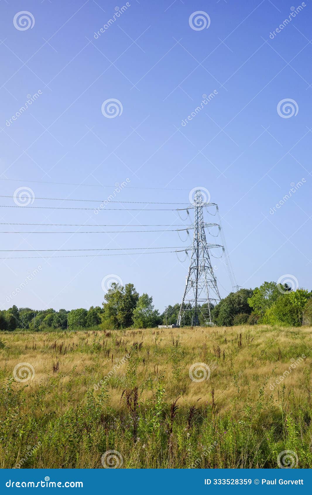 A Tall Electrical Transmission Tower Standing in a Grassy Field Under a ...