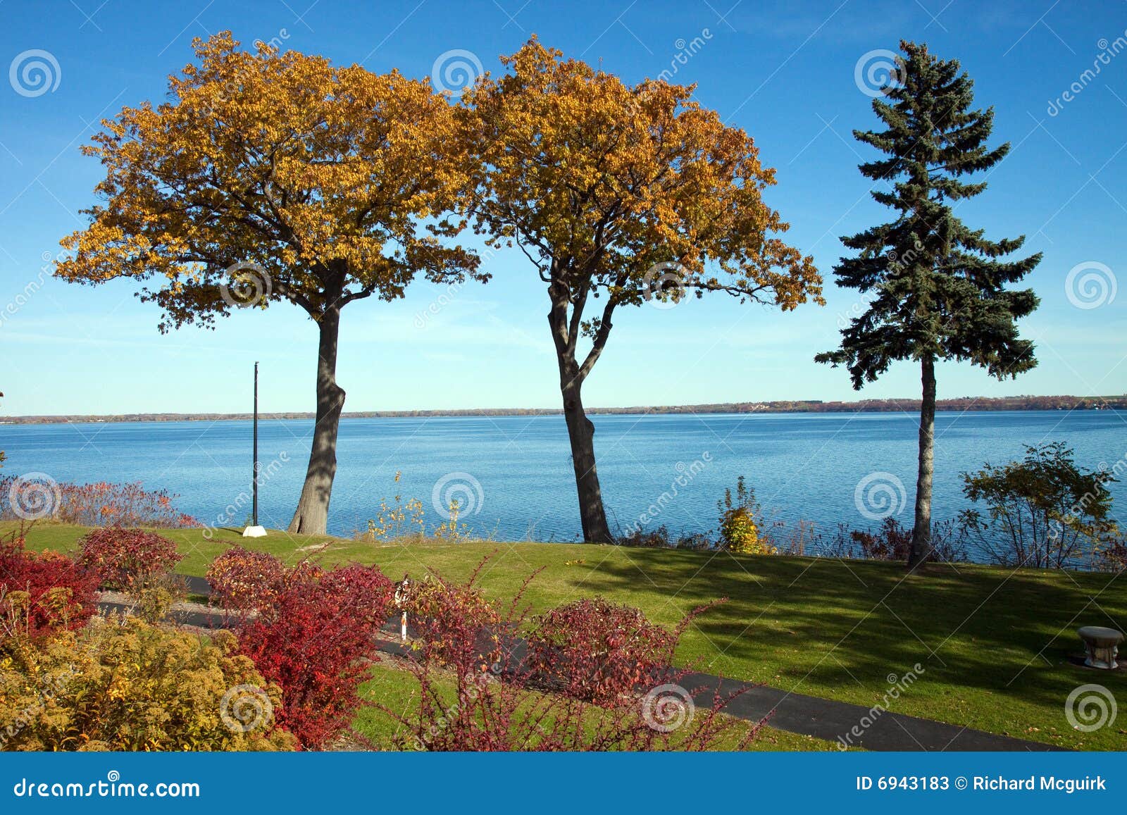Tall Fall Trees stock image. Image of finger, trees, outdoors - 6943183