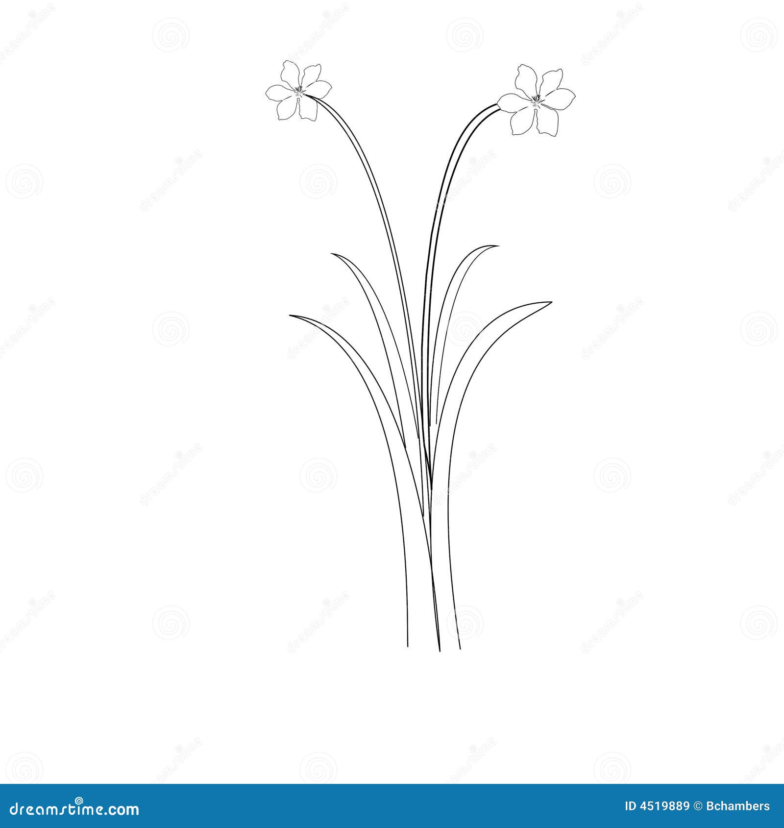 Tall flowers stock illustration. Illustration of leaves - 4519889