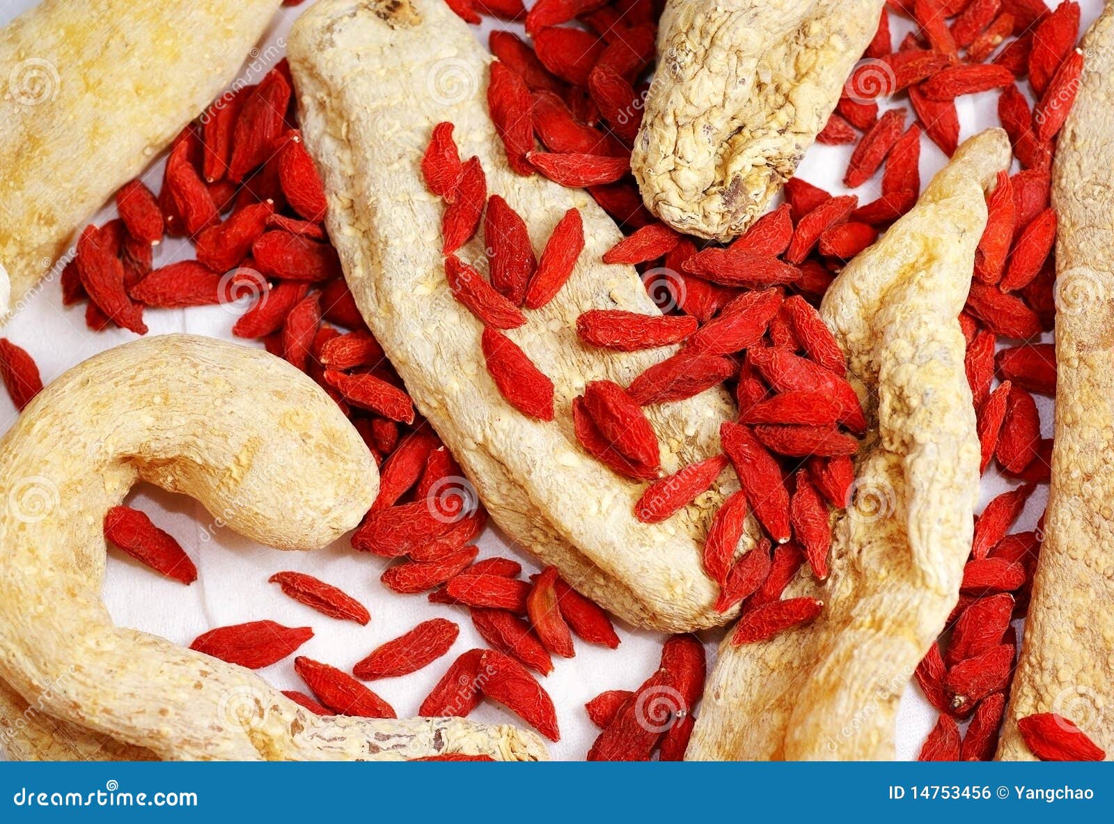 Tall Gastrodia Tuber and Medlar Stock Photo - Image of medlar, baked ...