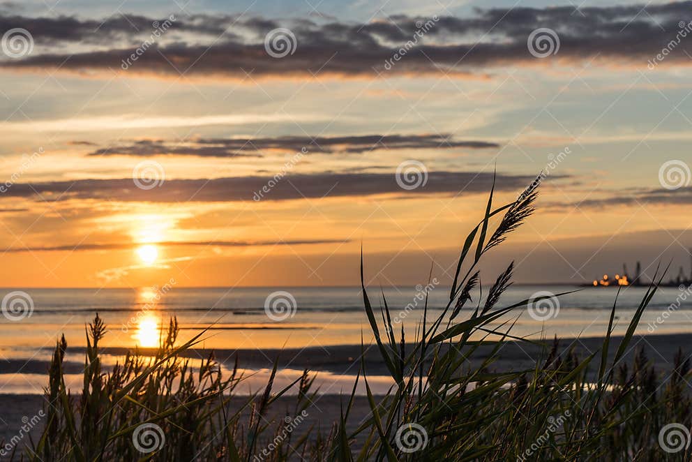 Tall Grass on Beach at Sunset Stock Image - Image of colorful, sand ...
