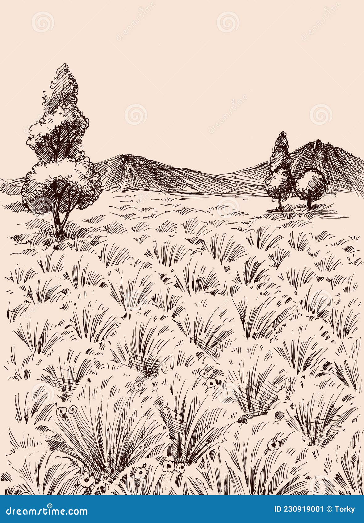 Tall Grass Meadow Hand Drawing Stock Vector - Illustration of hand ...