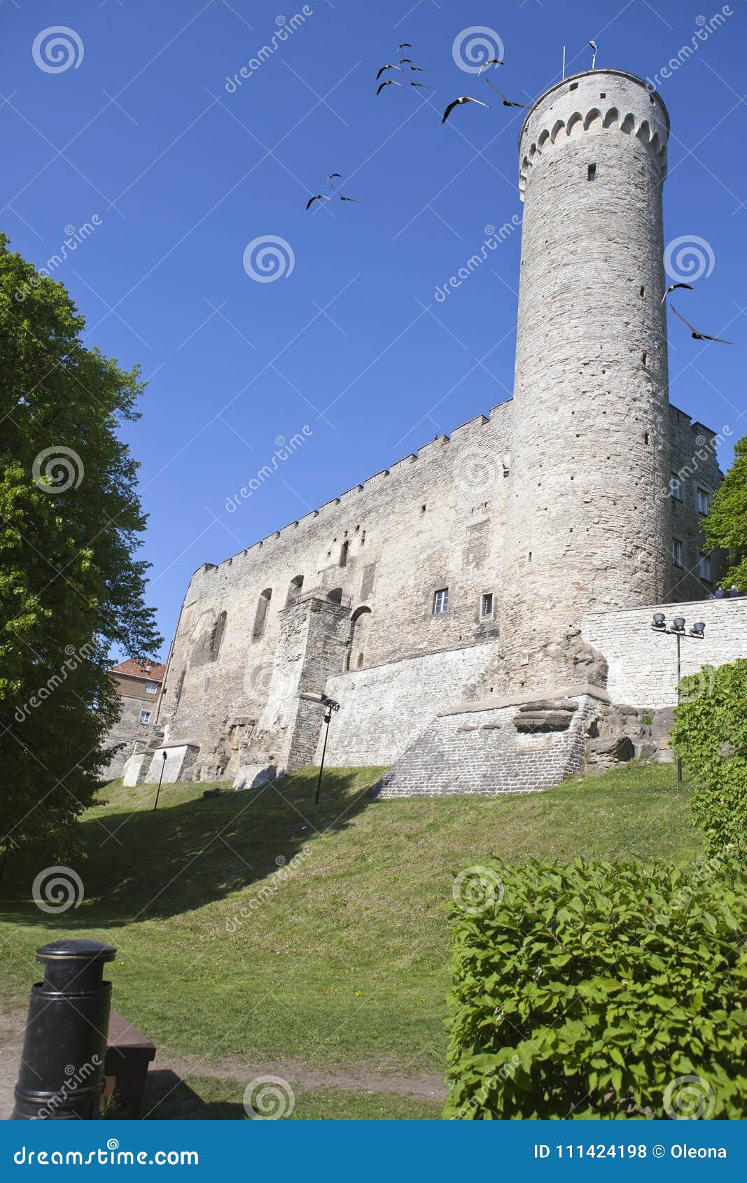 Tall Hermann Tower . Tallinn, Estonia Stock Photo - Image of building ...