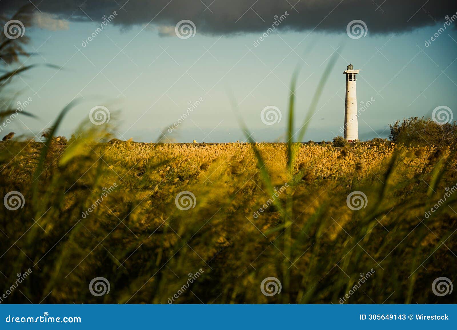 Tall Lighthouse Stands Amidst a Field of Grass Stock Image - Image of ...