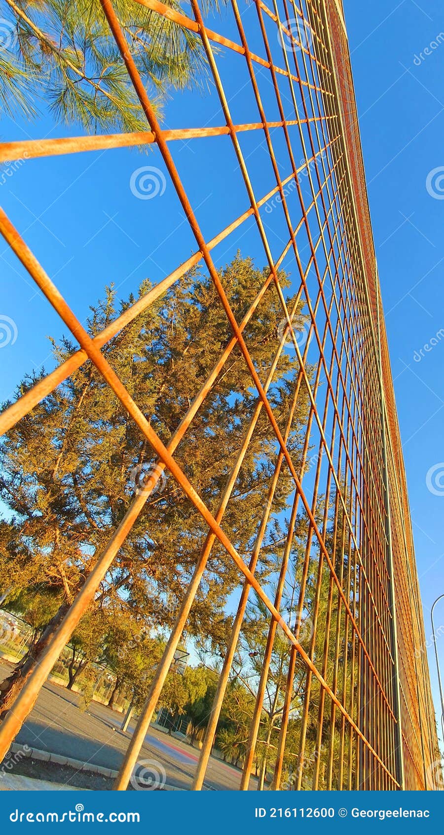 Tall Metal Fence in Front of Trees Stock Photo - Image of tower ...