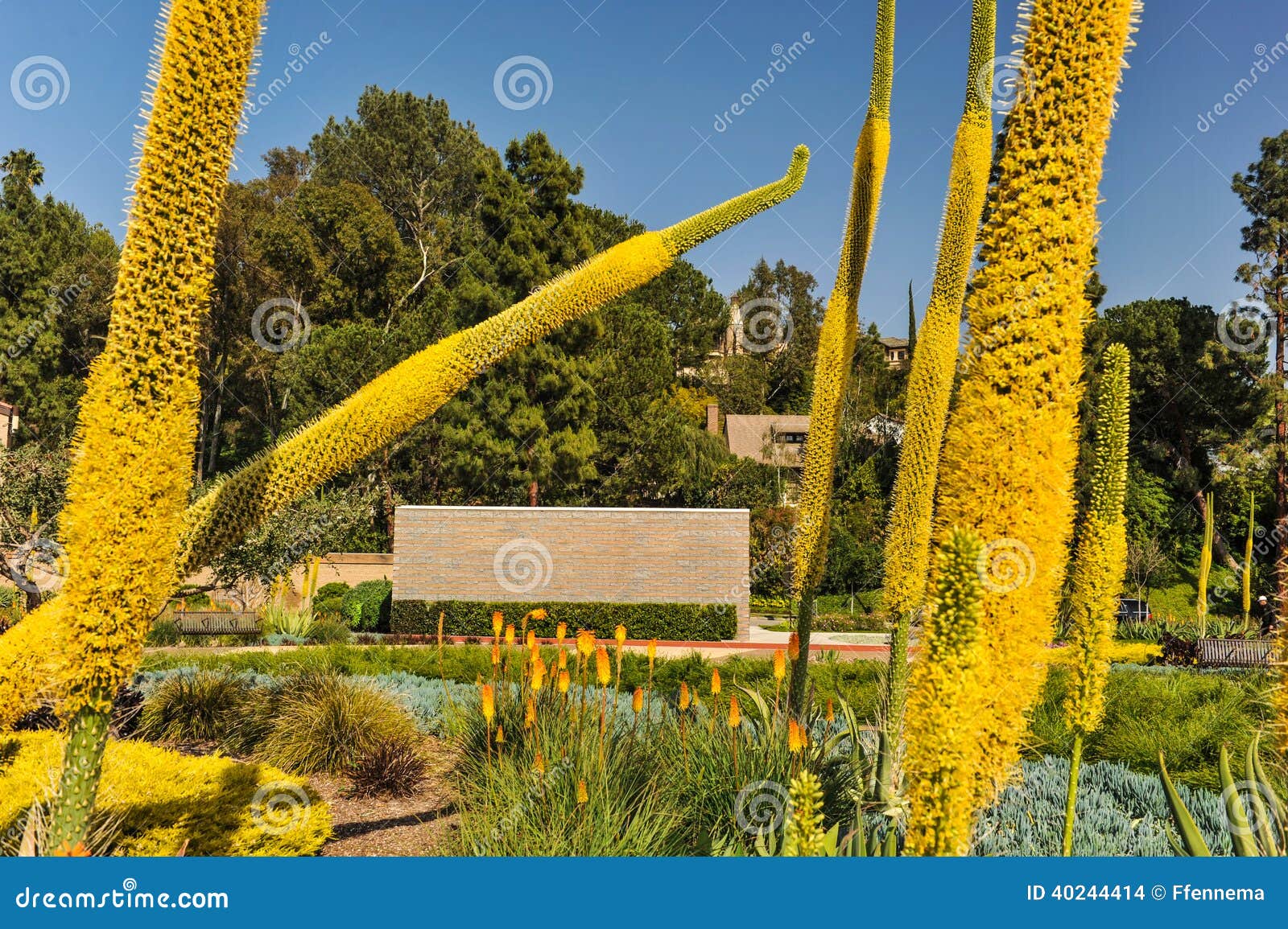 Tall Plants Frame a Park Brick Wall Stock Photo - Image of path ...