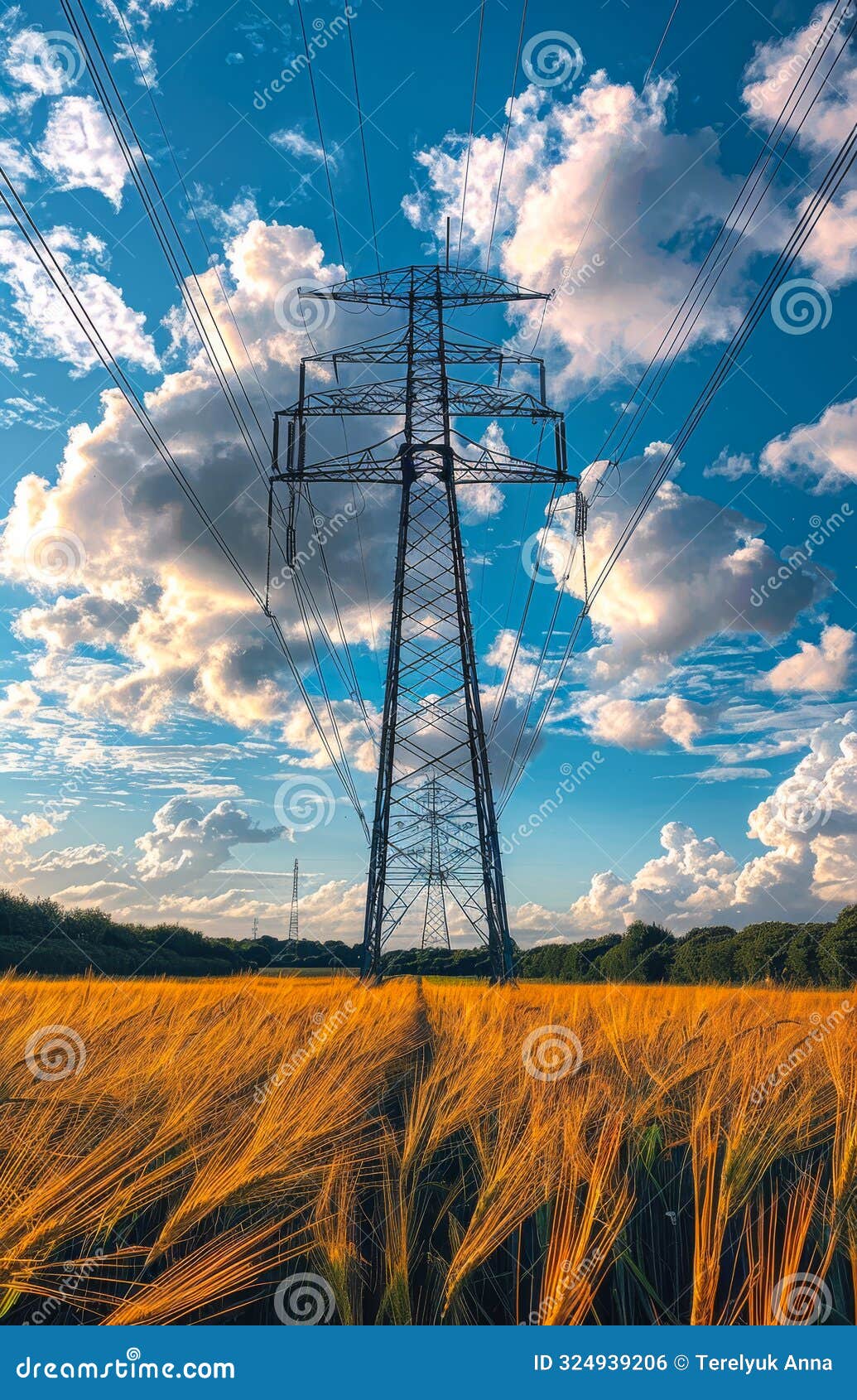 A Tall Power Line Tower is Seen in a Field of Tall Grass. the Sky is ...