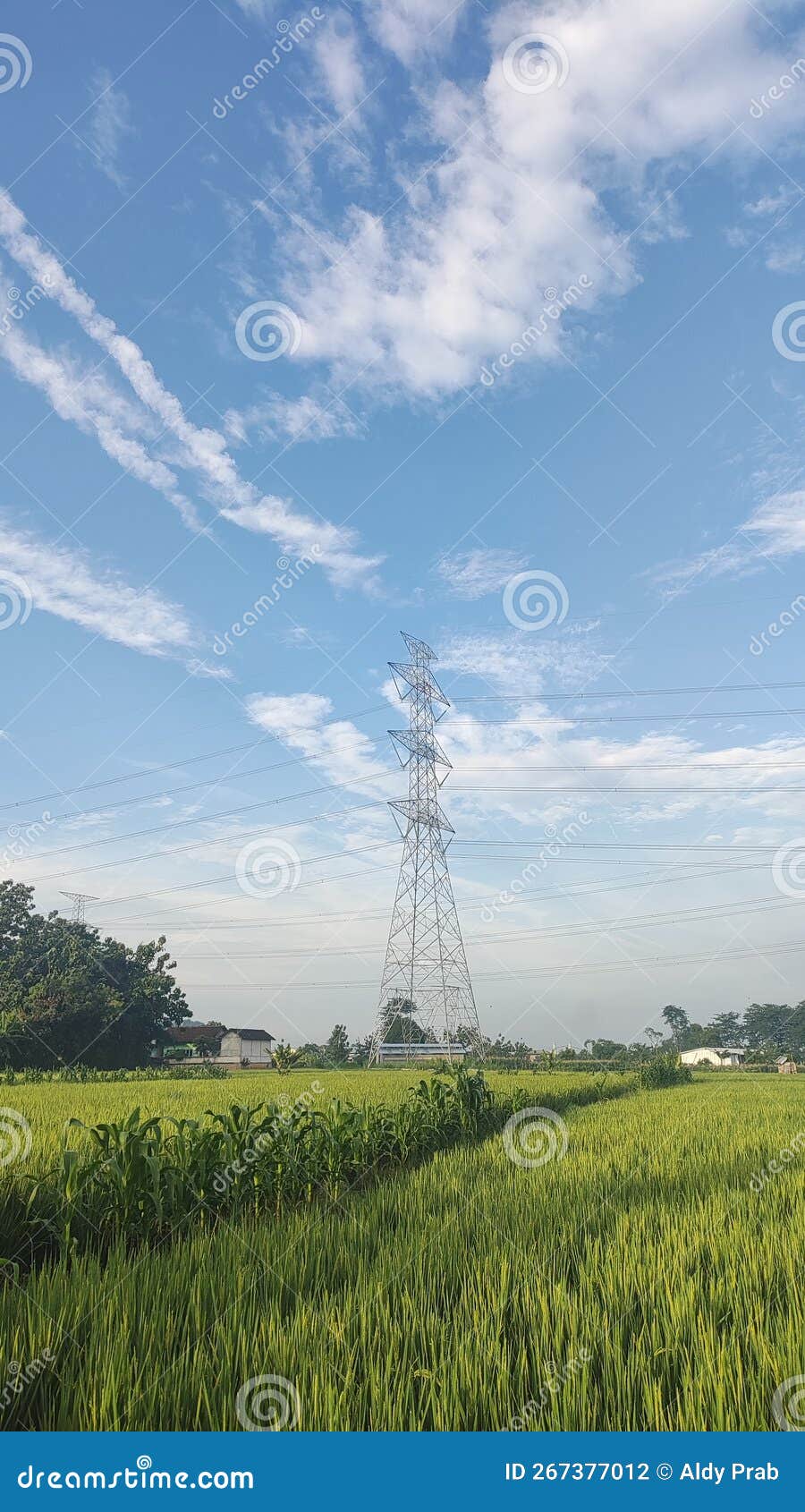 Tall power poles stock photo. Image of europe, eiffel - 267377012