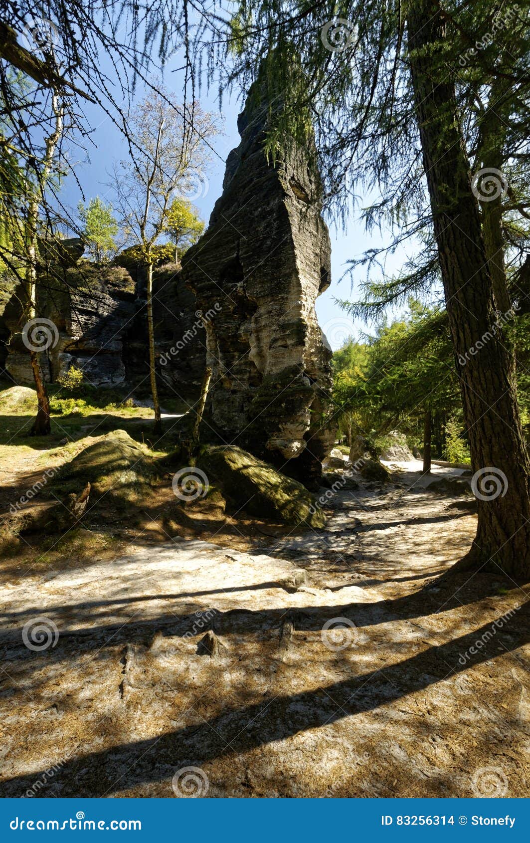 Tall Rock Cliff with Greenery Around it Stock Photo - Image of view ...