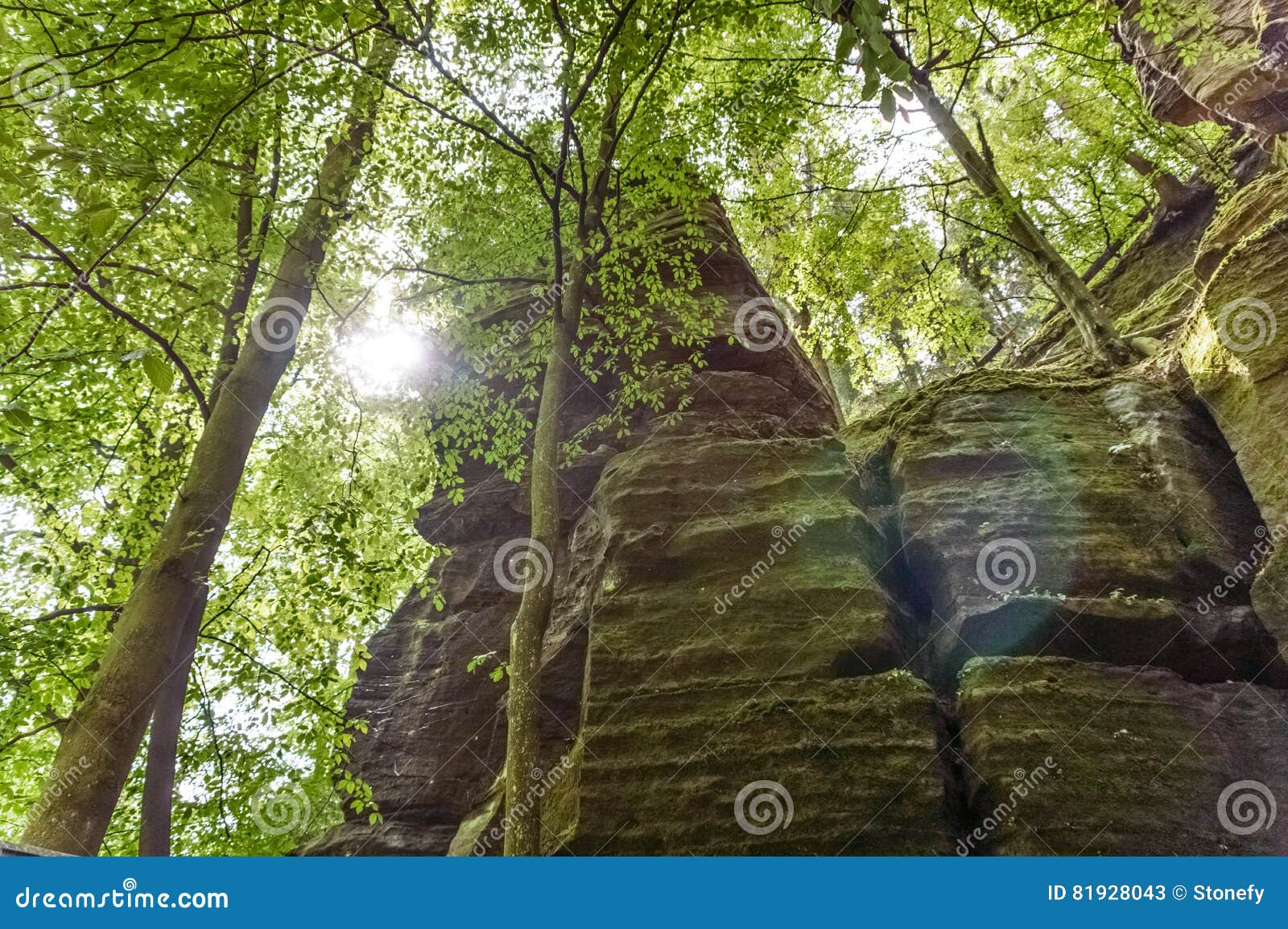A Tall Rock Formation Clouded by Tree Tops Stock Image - Image of view ...